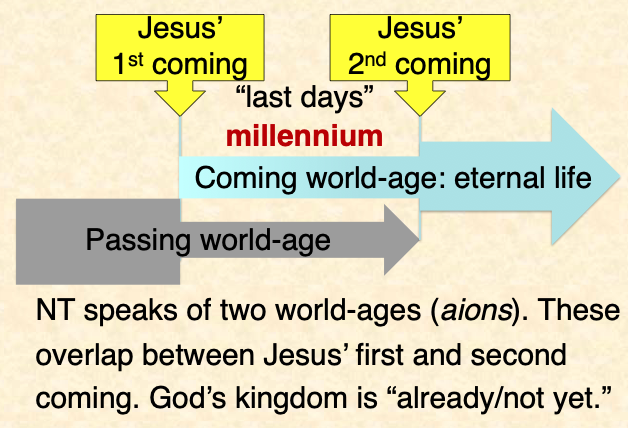New Testament Survey NEW: Transcript & Slides: Millennium | CLI